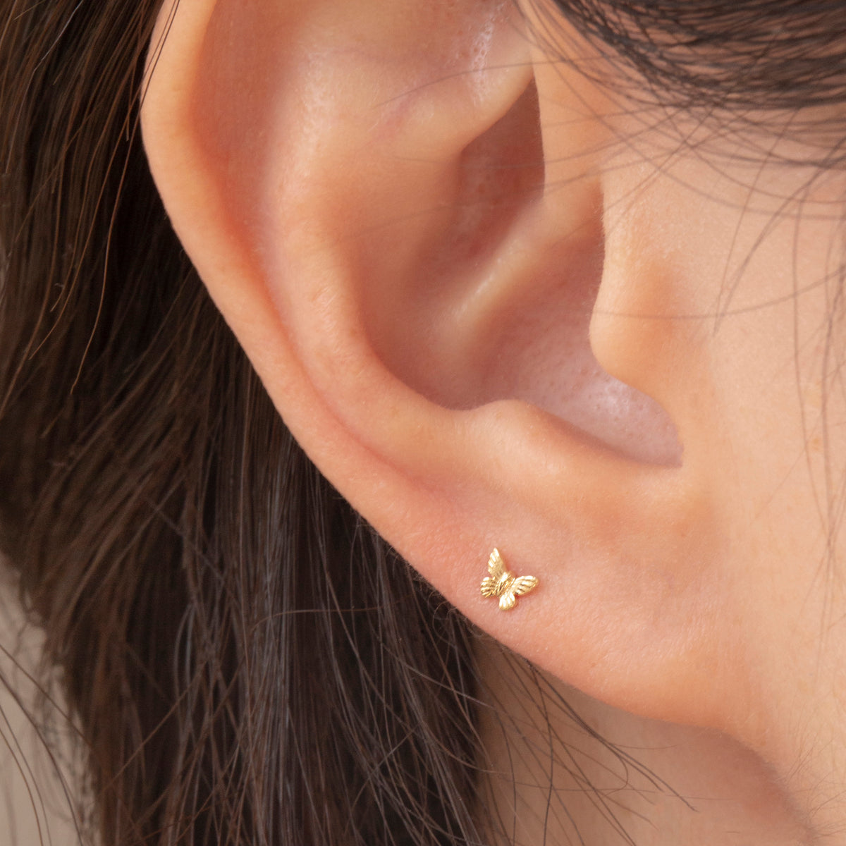 14k Mini butterfly Stud Earrings – E&E PROJECT